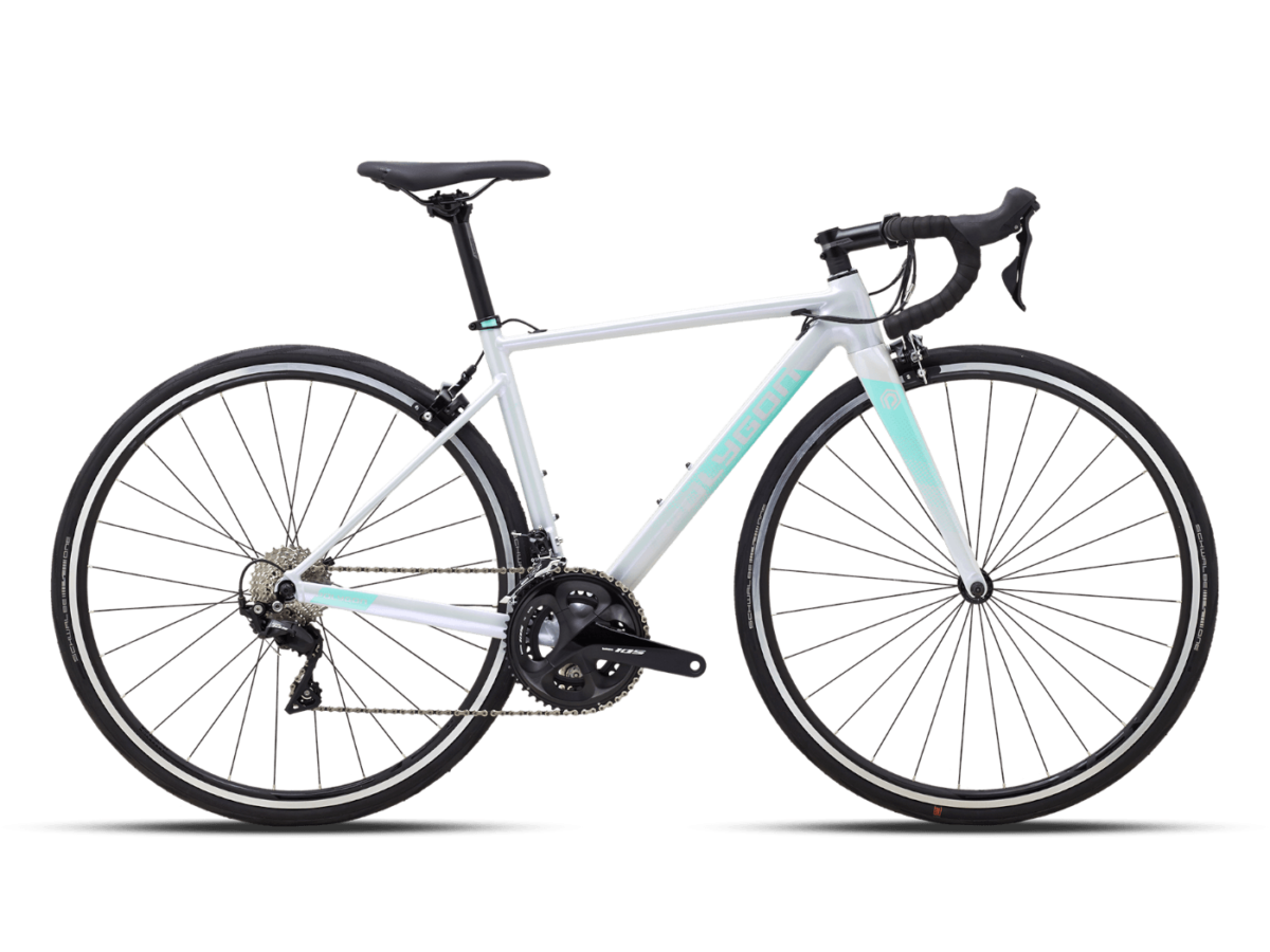 ROAD RIDING – Psycho Wheeler Bike Shop
